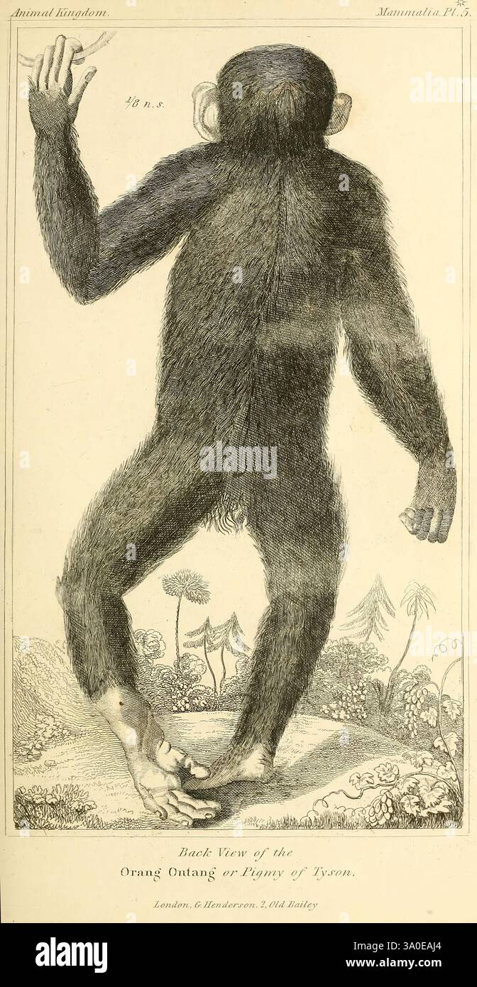 Stylized figure stands hi-res stock photography and images - Alamy