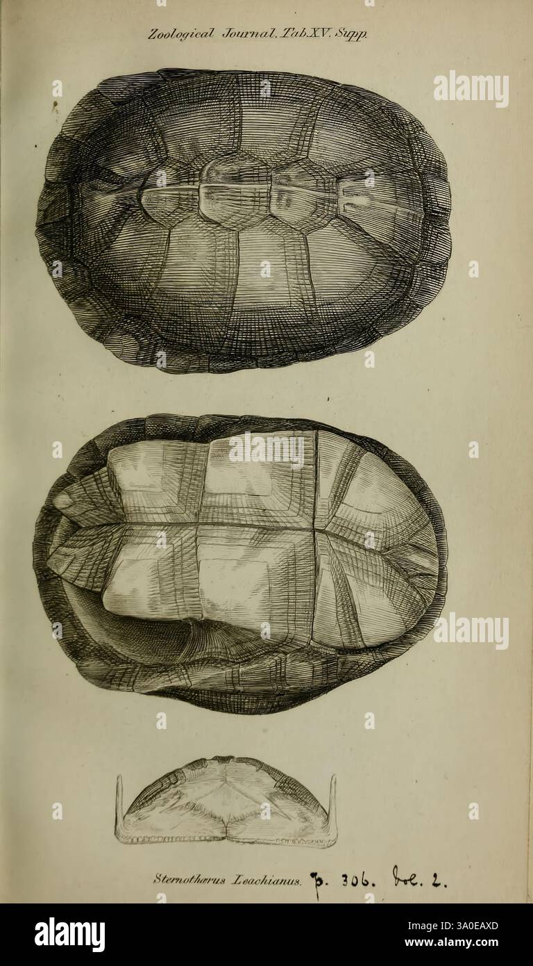 The Zoological Journal, London, W. Phillips, 1824-, periodicals ...