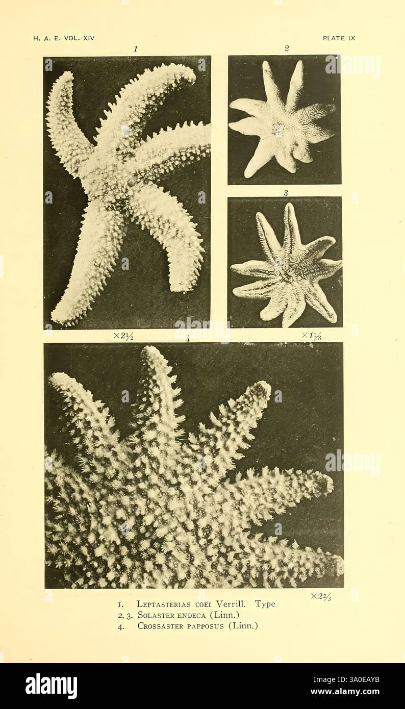 Harriman Alaska series, Washington, 1910-1914, Alaska, natural history ...