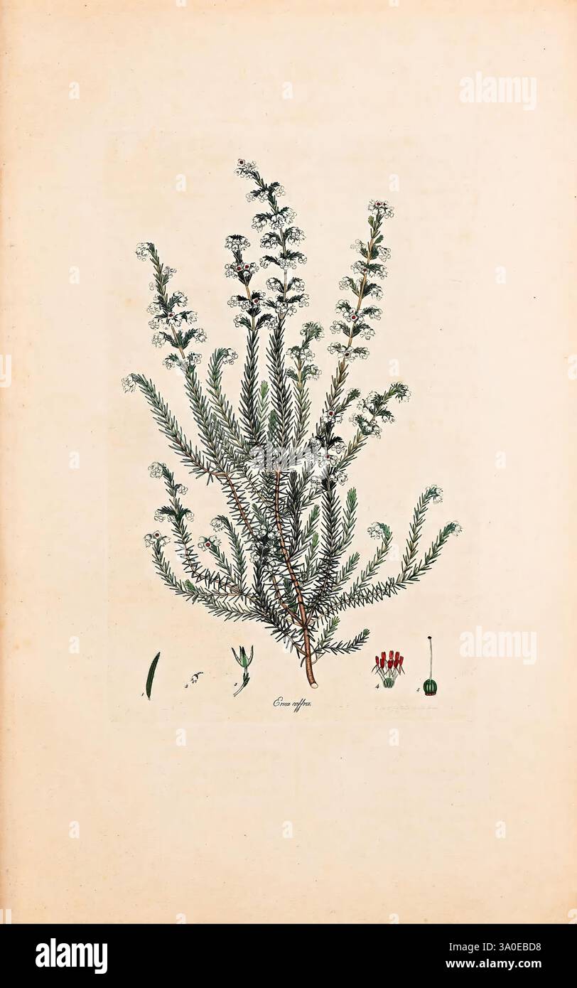 Coloured Engravings Of Heaths London Published By The Author Printed By ...