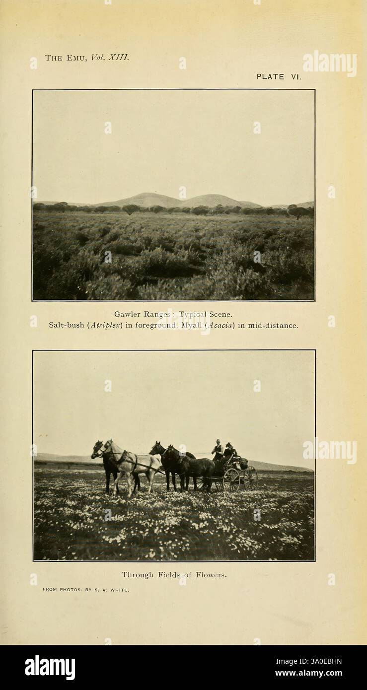 Expansive gawler ranges hi-res stock photography and images - Alamy