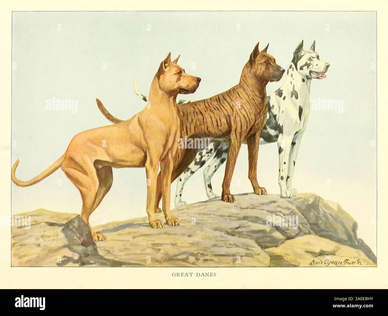 The book of dogs Washington, D.C. The National Geographic Society ...