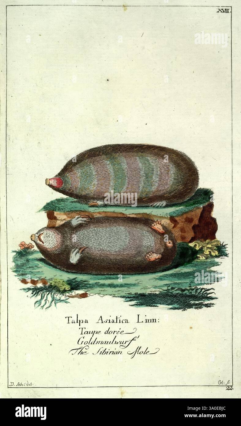 Gemeinnützige Naturgeschichte des Thierreichs, Berlin, bei Gottlieb ...