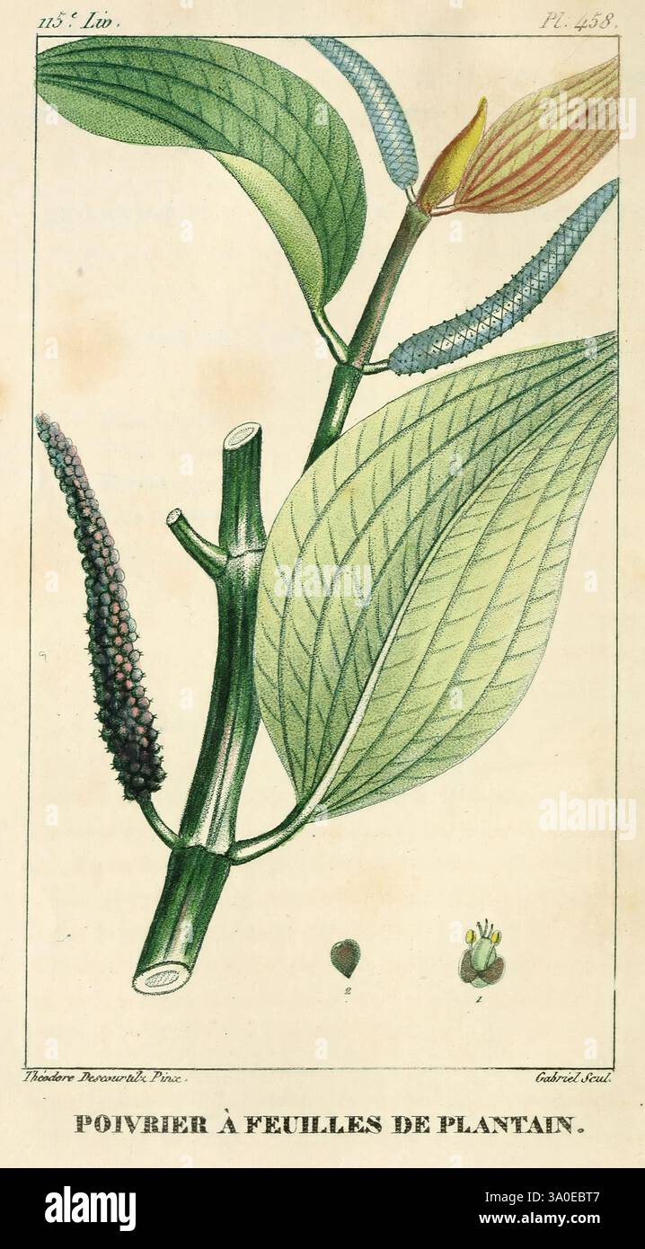 Flore pittoresque et médicale des Antilles, Paris, Pichard, 1821-1829 ...