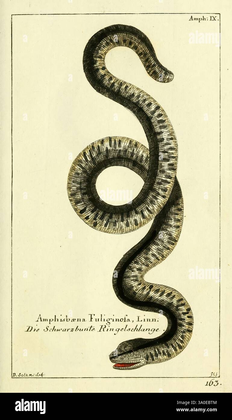 Gemeinnützige Naturgeschichte des Thierreichs bd. 4 plates Berlin, bei ...