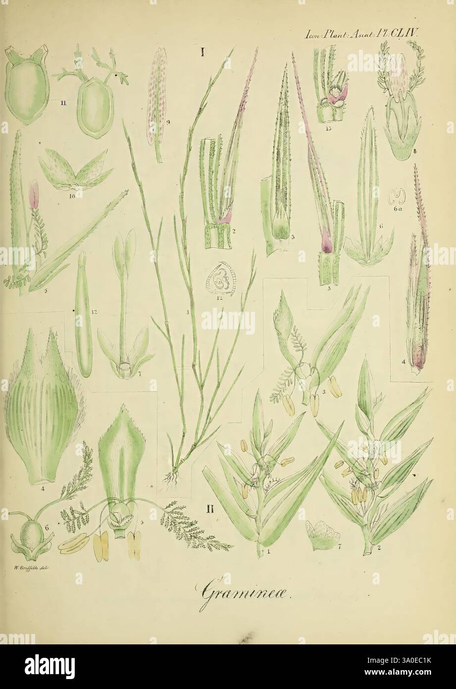 Structured sections labeled hi-res stock photography and images - Alamy