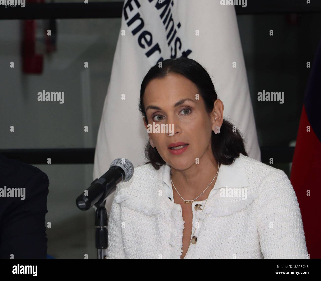 MIN ENERGY ON SACHA FIELD Quito, Monday, March 3, 2025 Conference at ...