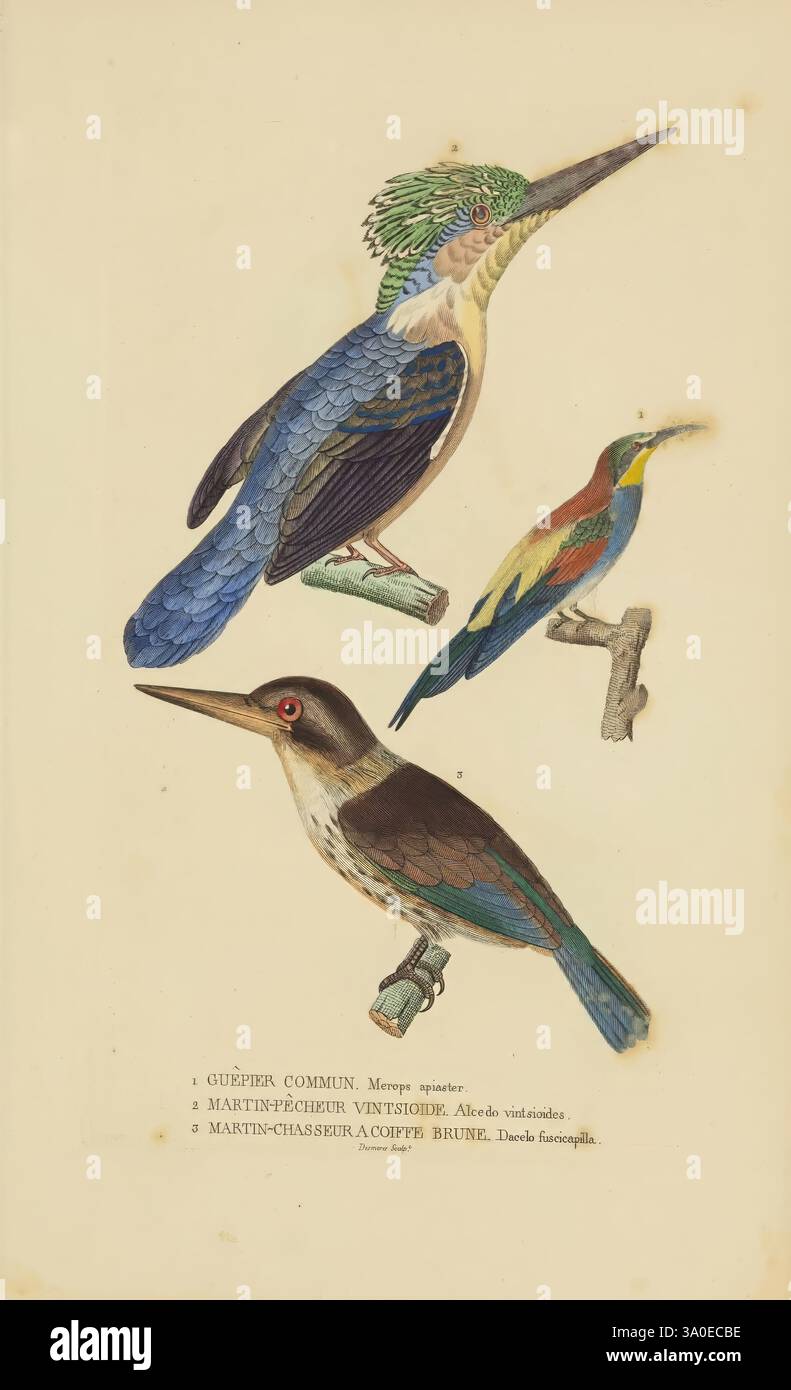 Subdued color palette of browns hi-res stock photography and images - Alamy