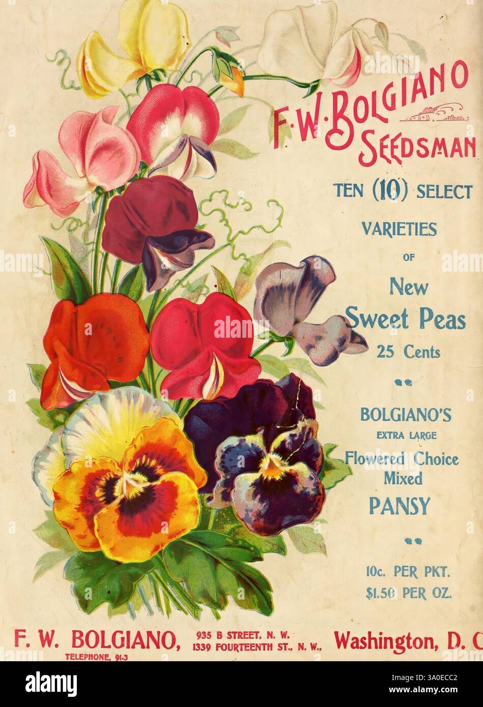 Bolgianos extra large hi-res stock photography and images - Alamy