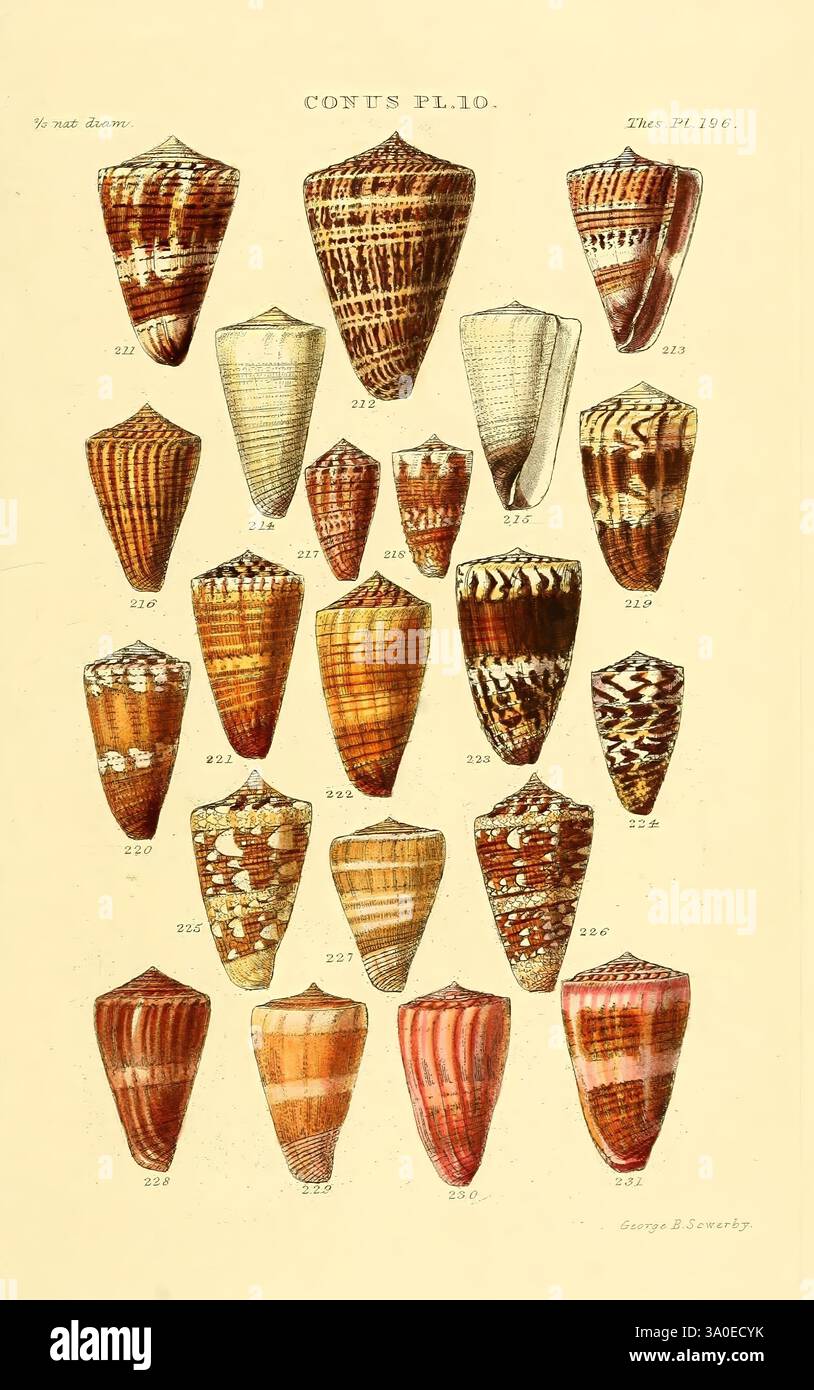 Color combinations range hi-res stock photography and images - Alamy