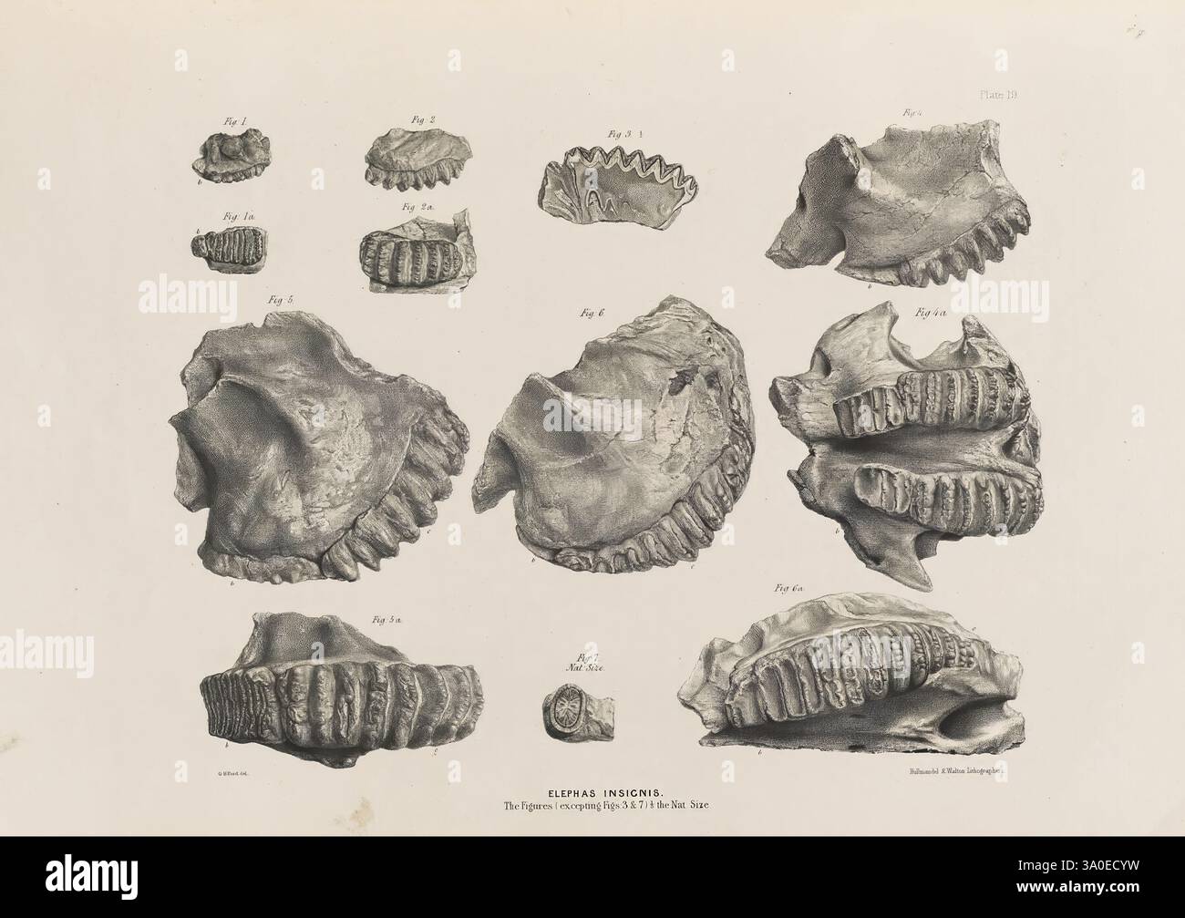 Highlight different structural details hi-res stock photography and ...
