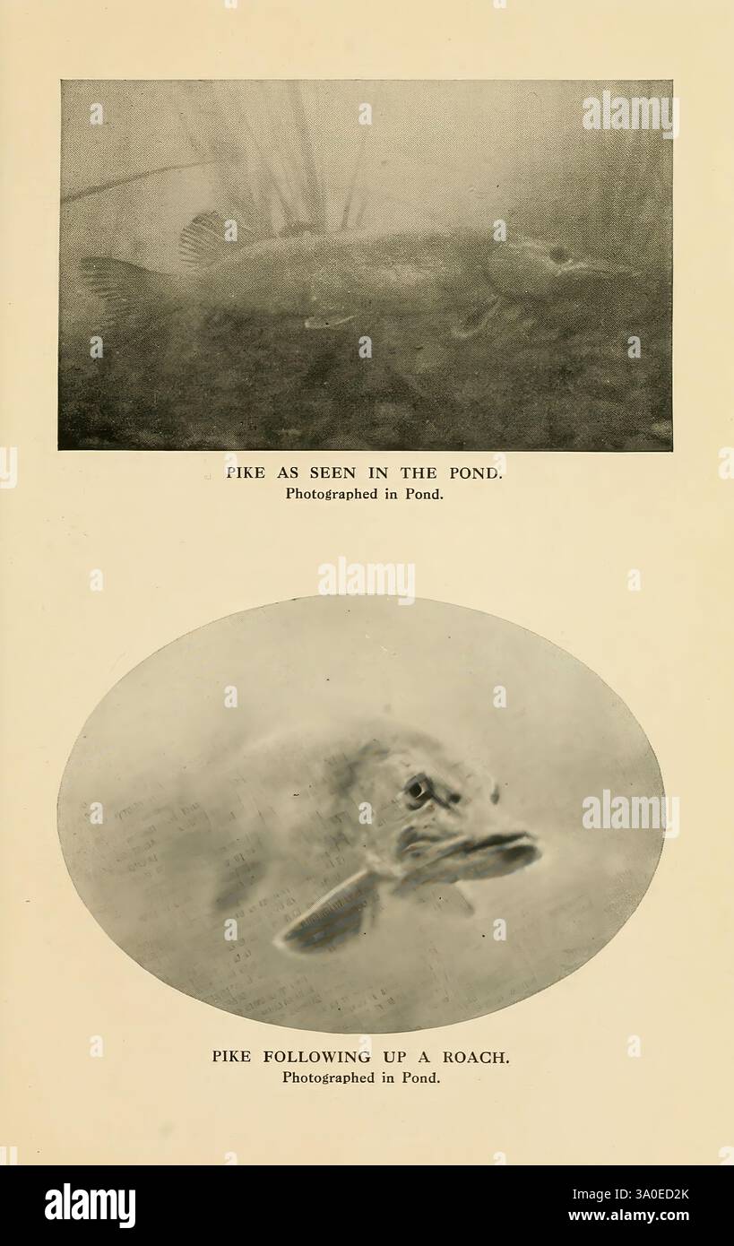 Two scenes emphasizes hi-res stock photography and images - Alamy