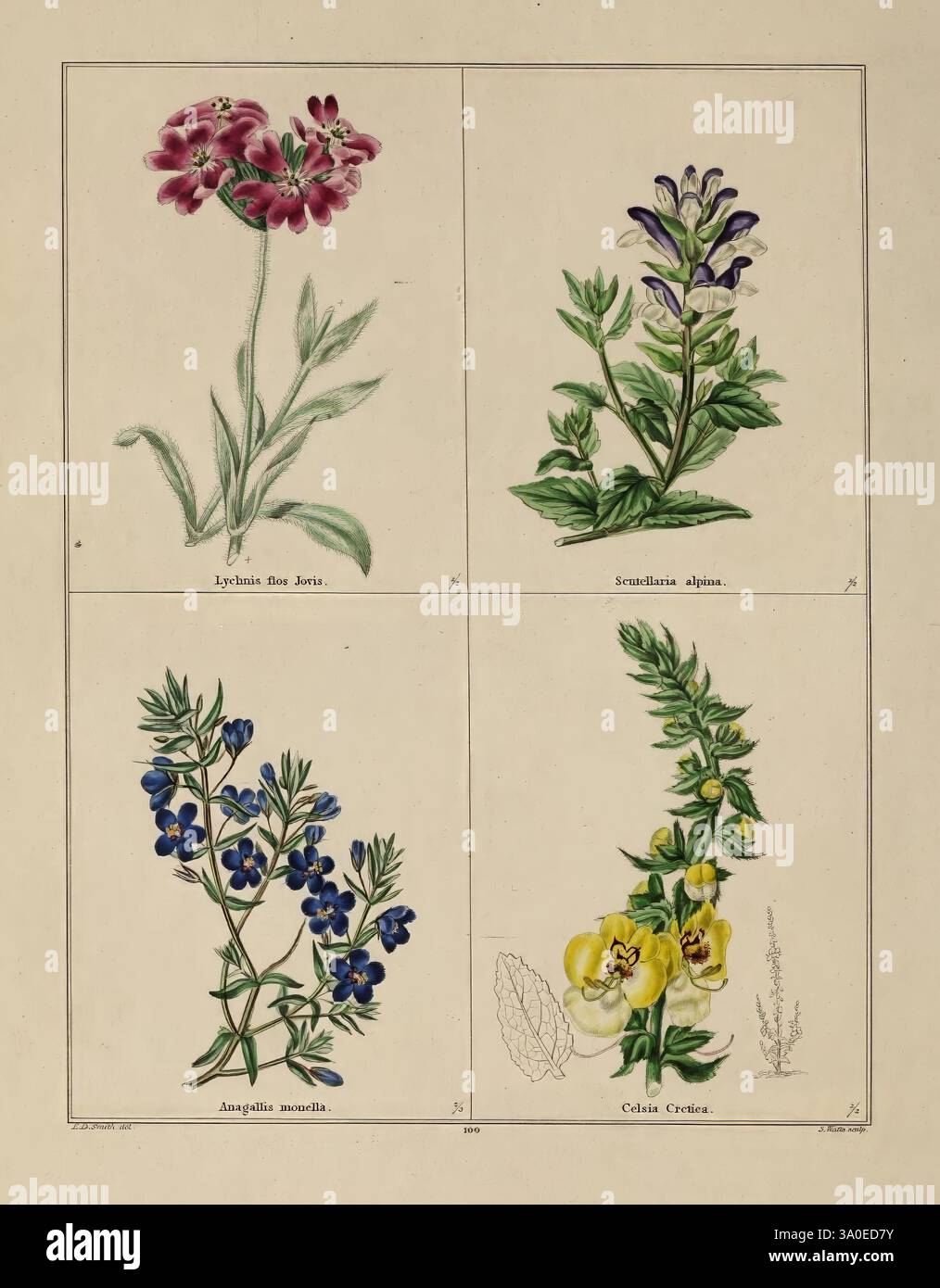 The, botanic, garden, London, Simpkin, &, Marshall, 1825, botany ...