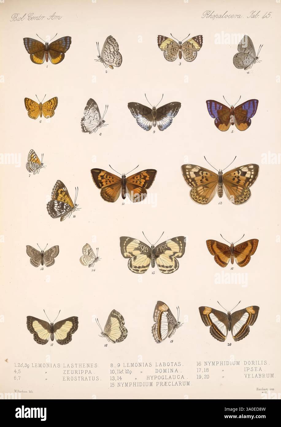 Biologia Centrali-Americana, London, 1879-1915. Archaeology, Botany ...