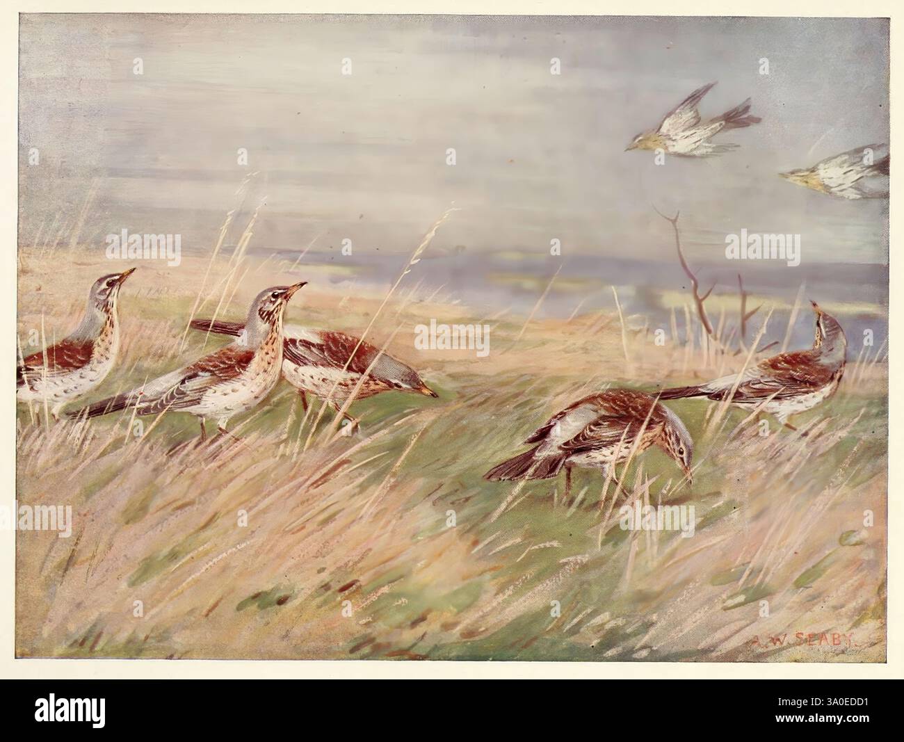 Sense of gentle motion hi-res stock photography and images - Alamy