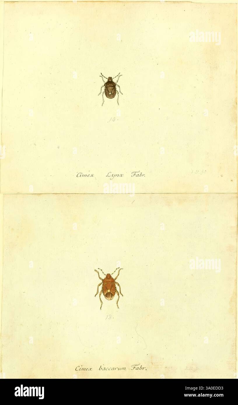 Artwork features two scientifically detailed illustrations of in hi-res ...