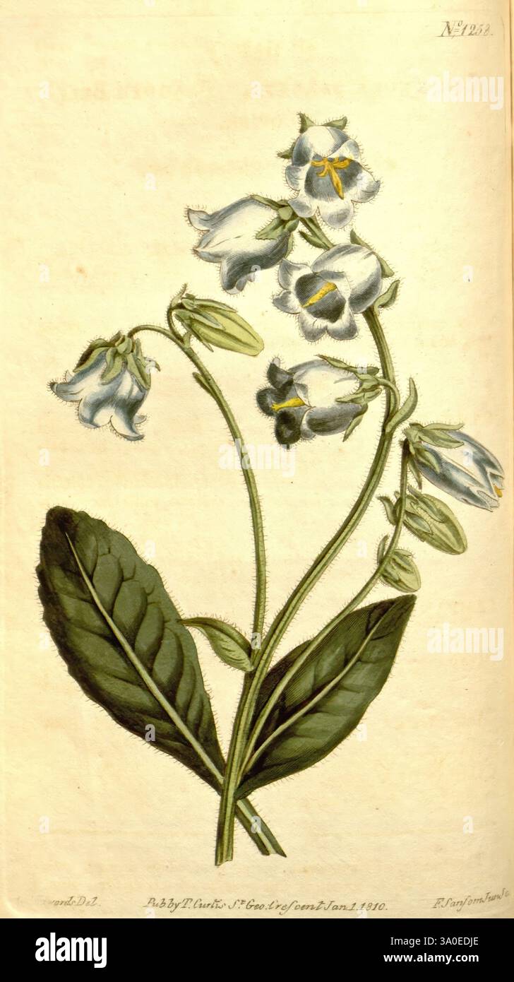 Subtle yellow markings within hi-res stock photography and images - Alamy