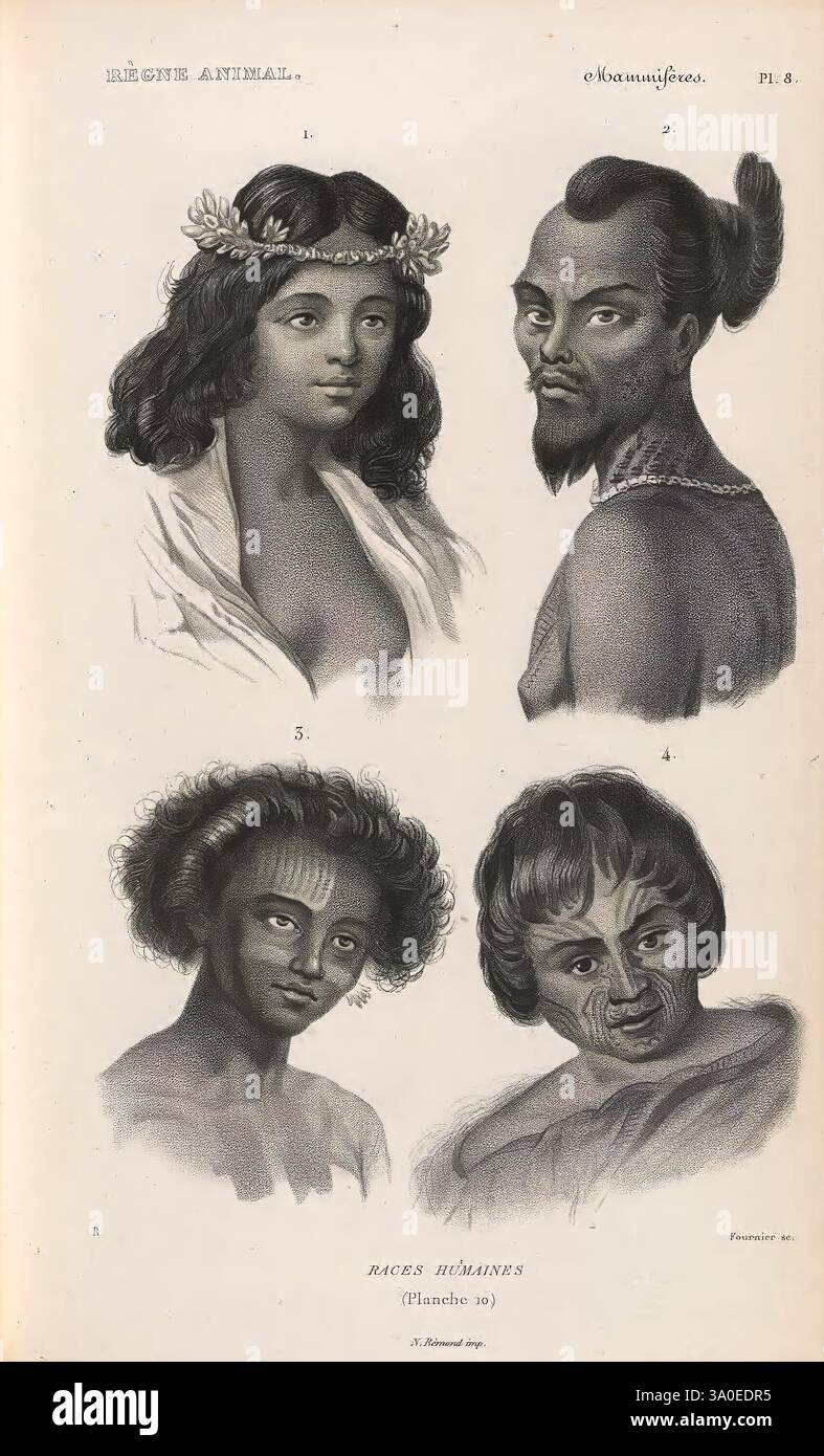 Four distinct portraits hi-res stock photography and images - Alamy