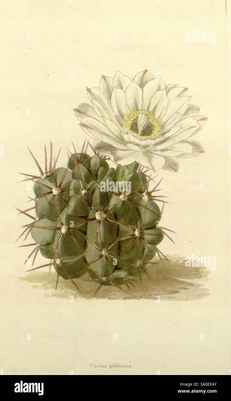 Body add depth hi-res stock photography and images - Alamy