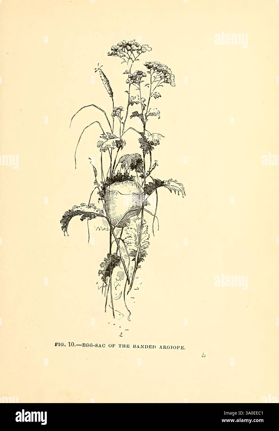 Tenants of an old farm New York Fords Howard & Hulbert 1885 1884 ...