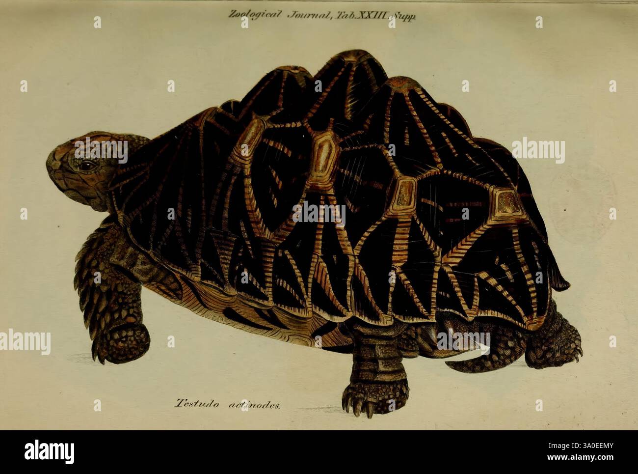 Striking series of geometric shapes hi-res stock photography and images ...