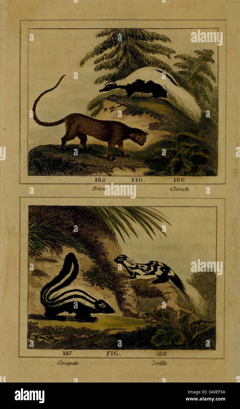 Buffon's Natural history, London: Printed for the Proprietor and sold ...