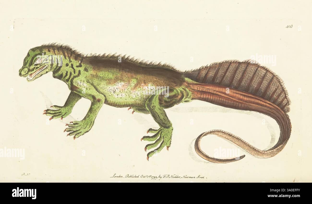 Imaginative blend of natures design hi-res stock photography and images ...