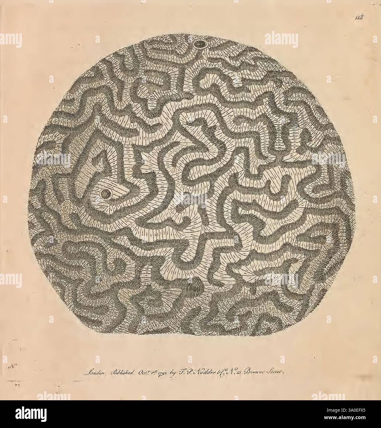 Interwoven complexities hi-res stock photography and images - Alamy