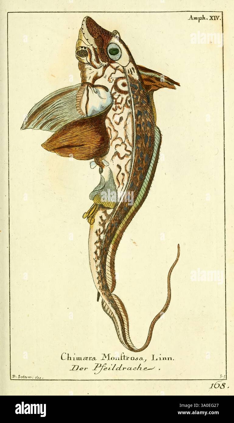 Gemainnützige Naturgeschichte des Thierreichs bd. 4 plates, Berlin, bei ...
