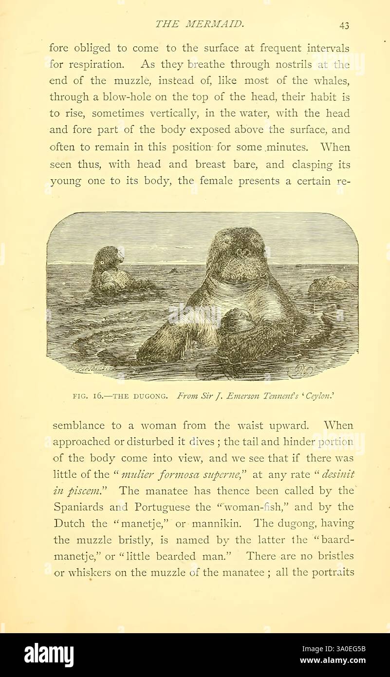 Sea, fables, explained, London, W. Clowes and Sons, Ltd, 1883, ocean ...