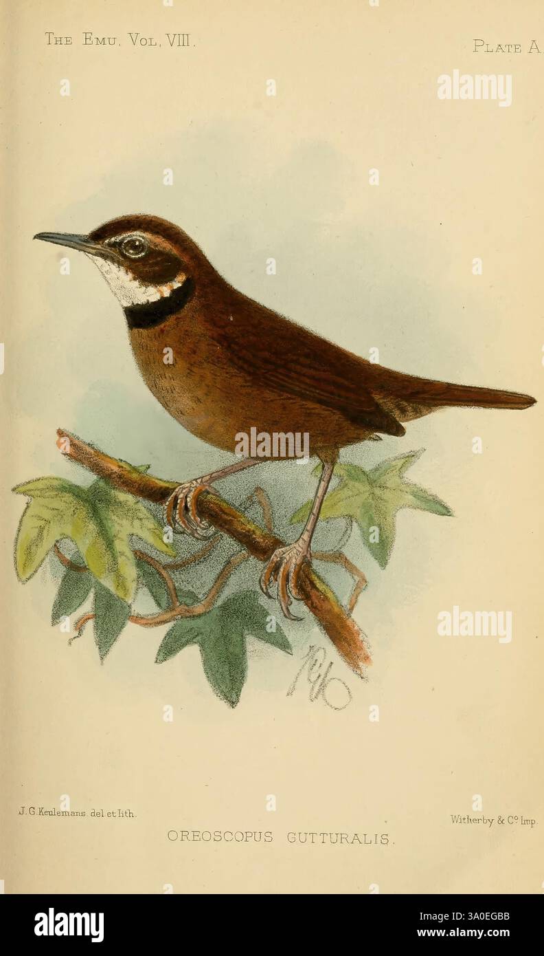 Hints of lighter tones hi-res stock photography and images - Alamy