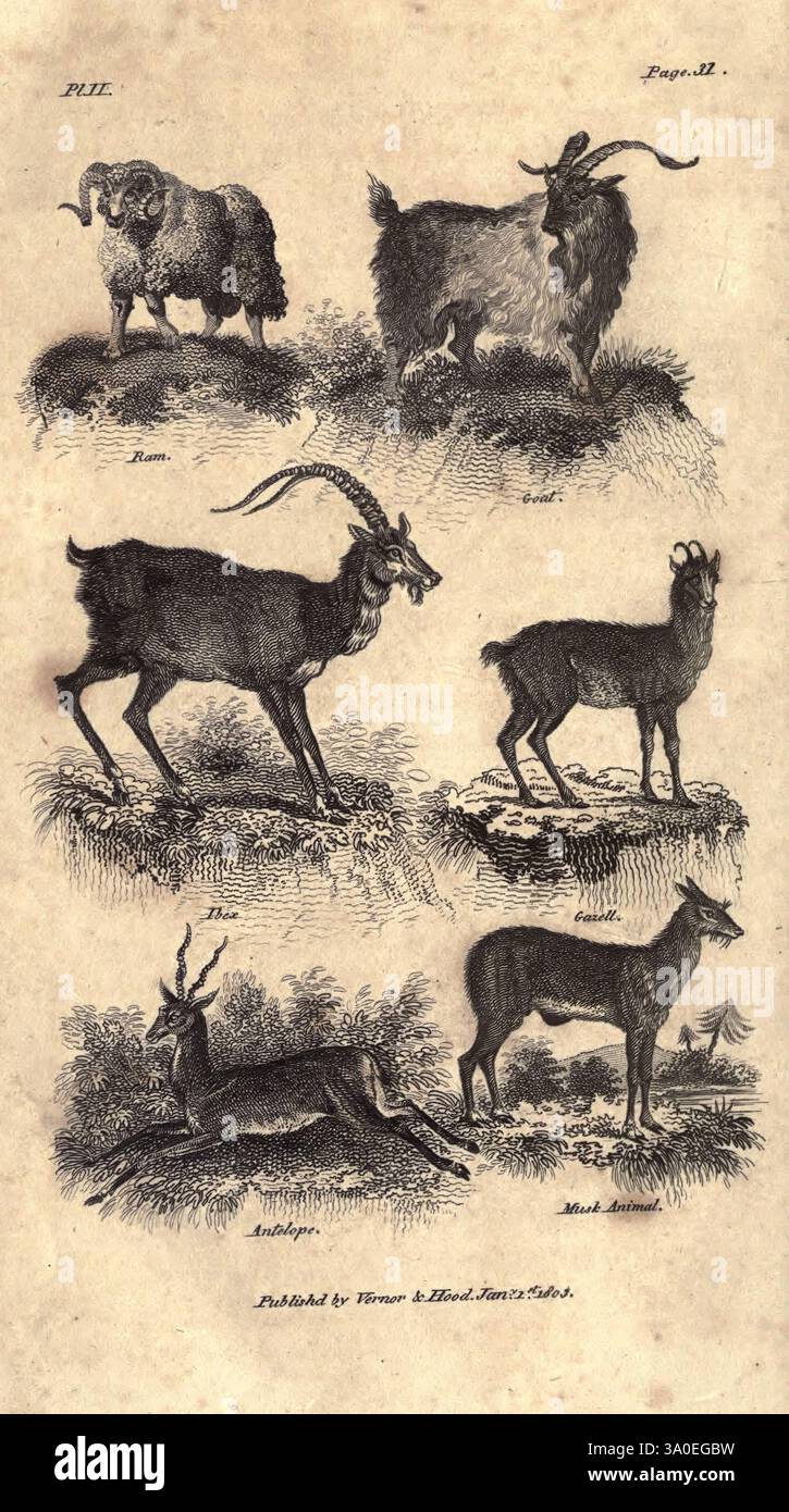 Goldsmith's history of the earth and animated nature, abridged, London ...