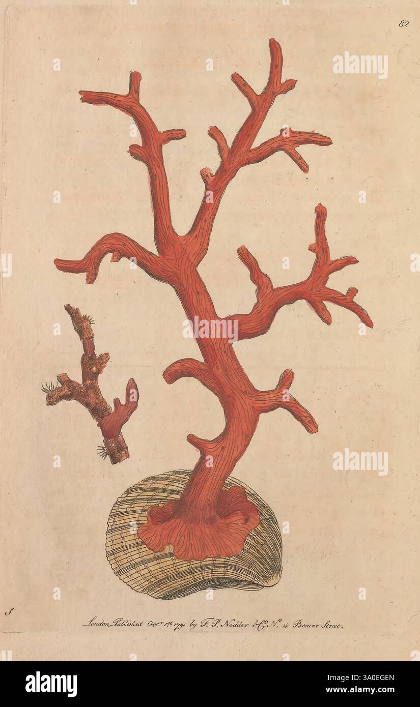 Circular base represents hi-res stock photography and images - Alamy