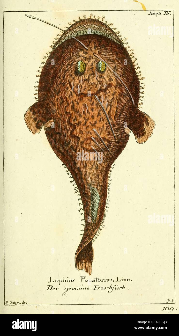 Gemeinnützige Naturgeschichte des Thierreichs, bd. 4, plates, Berlin ...