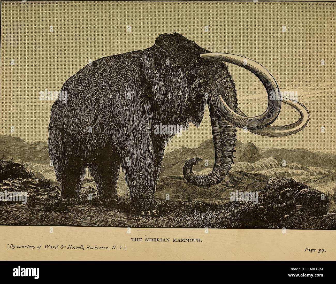 Sense of ancient grandeur hi-res stock photography and images - Alamy