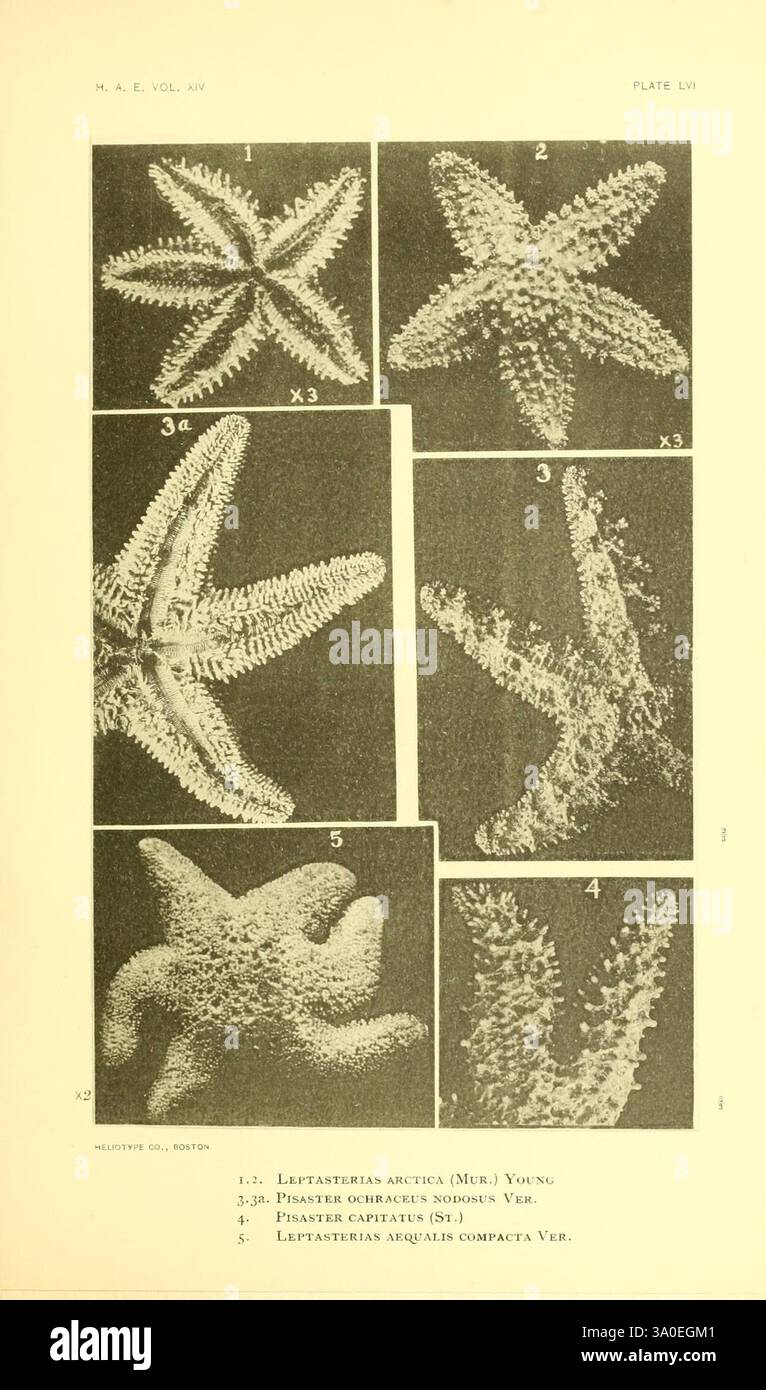 Arm configurations hi-res stock photography and images - Alamy