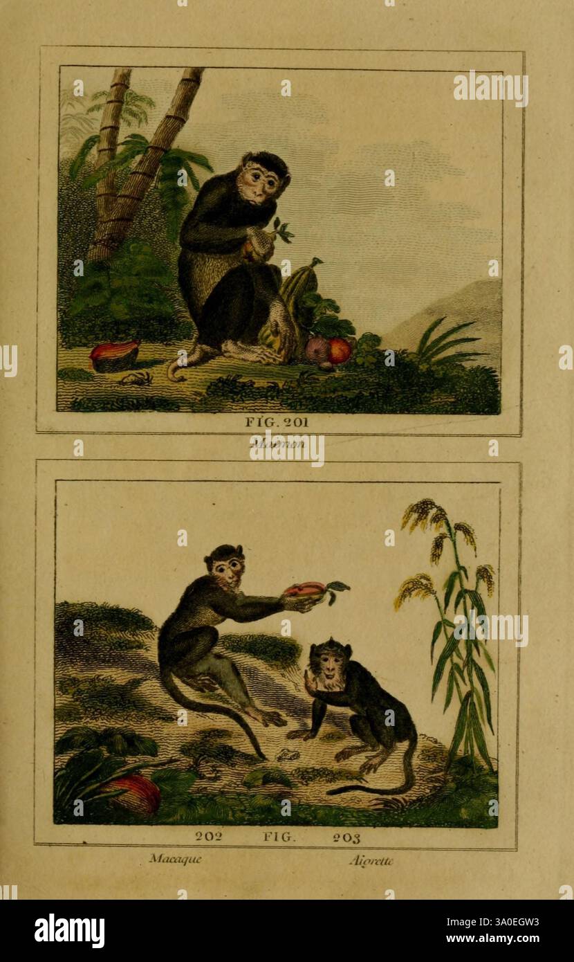 Upper panel depicts hi-res stock photography and images - Alamy