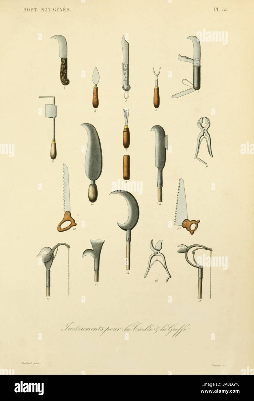 Different types of hoes hi-res stock photography and images - Alamy