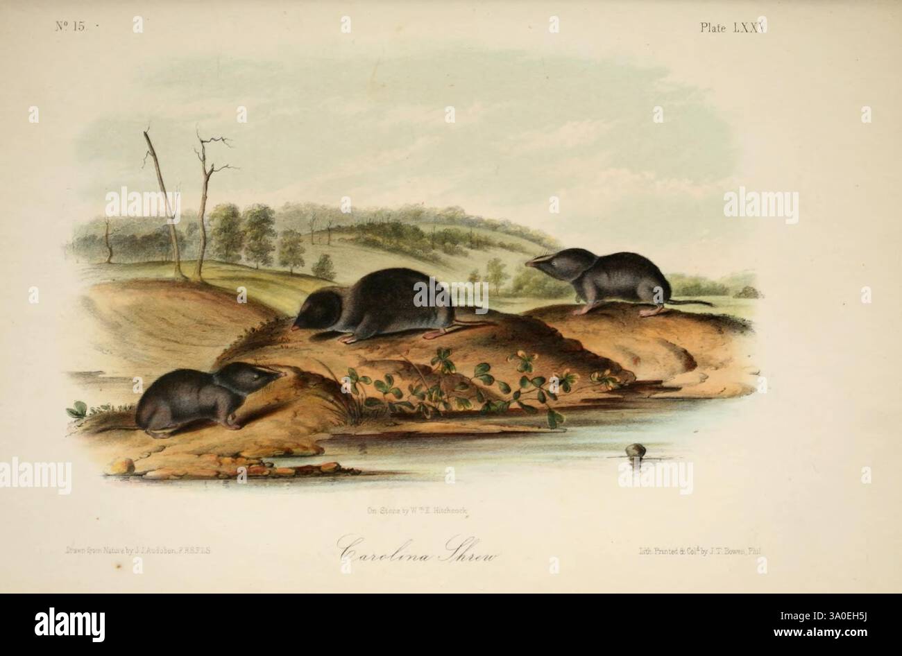 Serene riverside scene features hi-res stock photography and images - Alamy