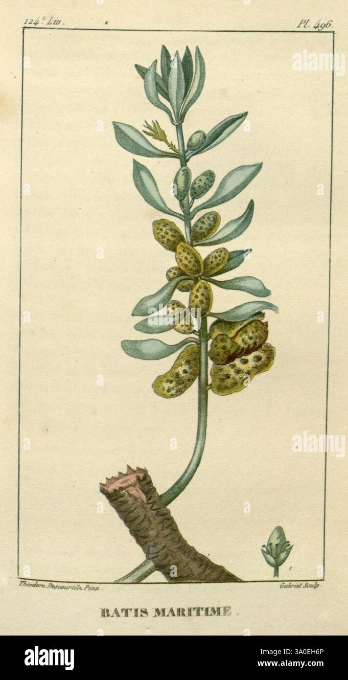 Pods resembling hi-res stock photography and images - Alamy