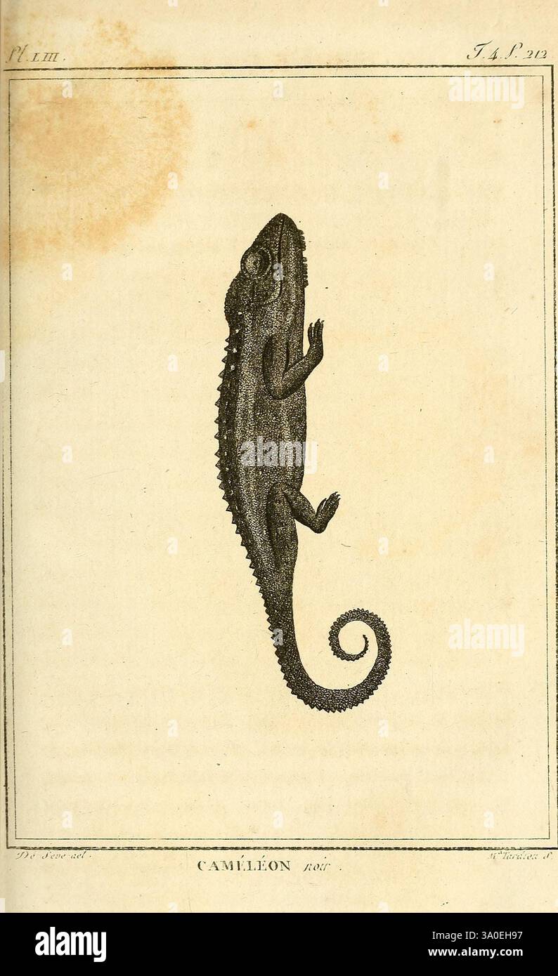 Histoire naturelle, générale et particulière, des reptiles A Paris, De ...