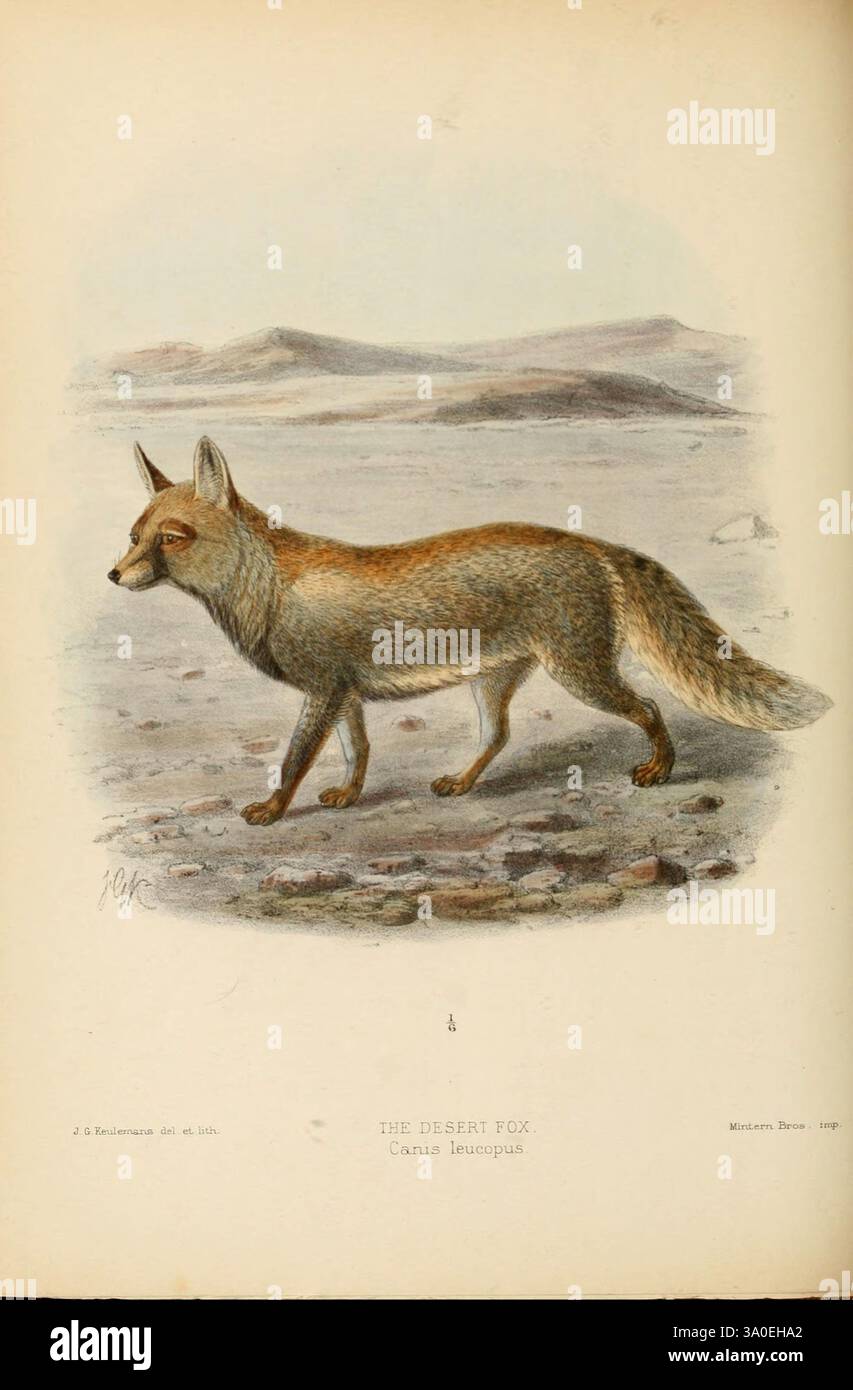 Heightened curiosity hi-res stock photography and images - Alamy