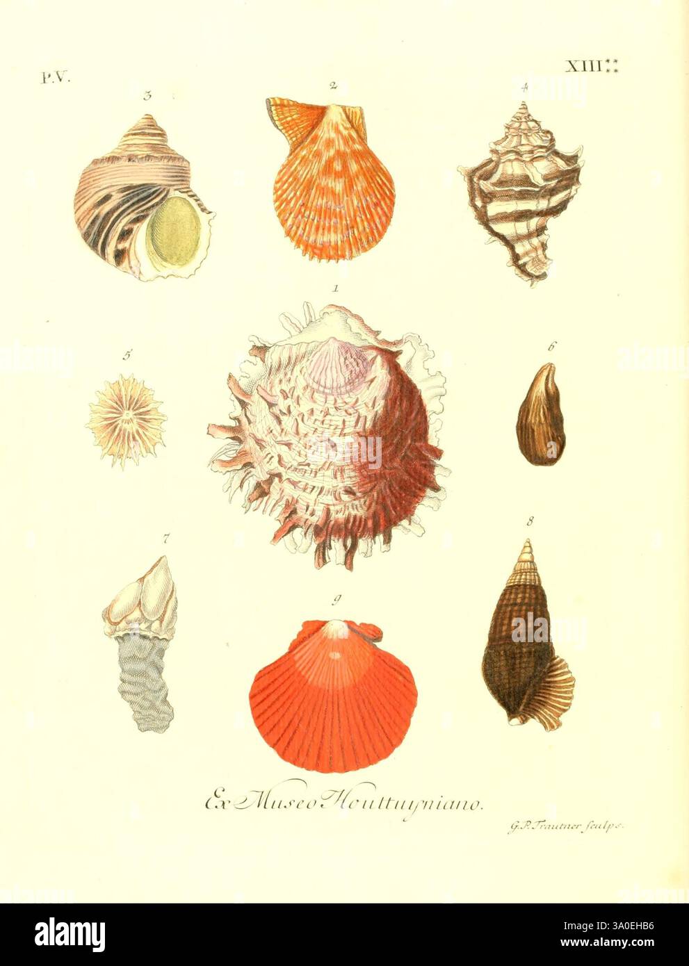 Les delices des yeux et de l'esprit, ou, Collection generale des ...