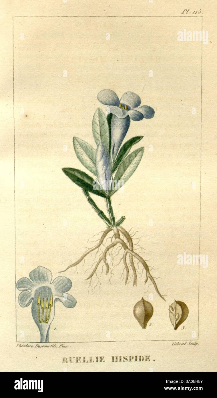 Flore médicale des Antilles, ou, Traité des plantes usuelles, Paris ...