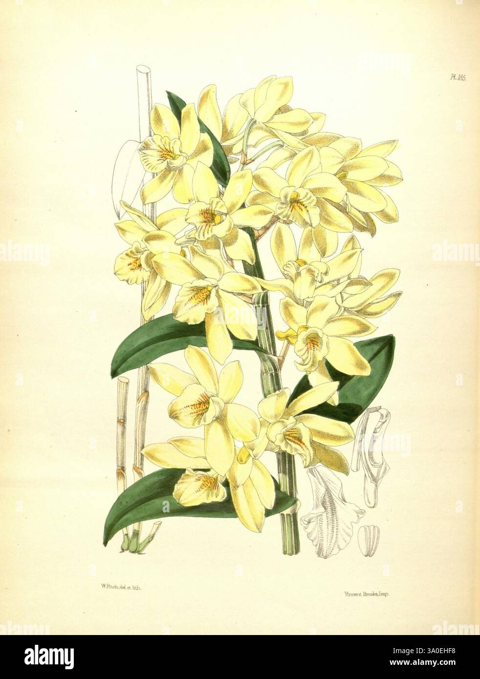 Unobtrusive colors hi-res stock photography and images - Alamy