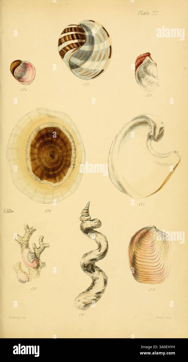 Conical perspectives hi-res stock photography and images - Alamy