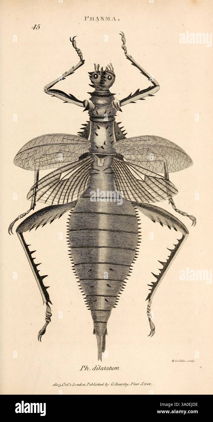 General zoology, or Systematic natural history, London, Printed for G ...