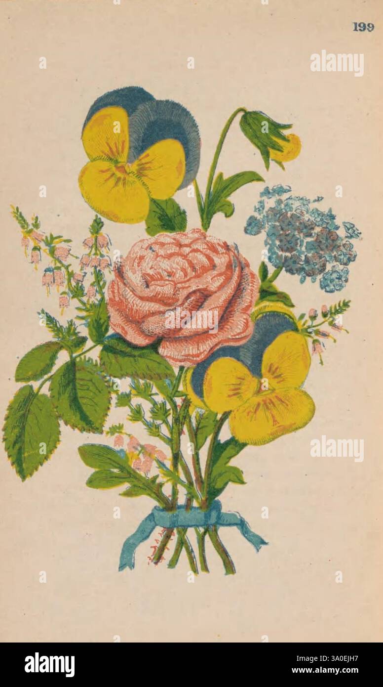 Le langage des fleurs Bruxelles, C. W. Froment, Libraire-éditeur, 1848 ...