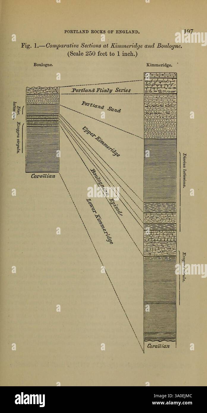 Comparative geological cross section hi-res stock photography and ...