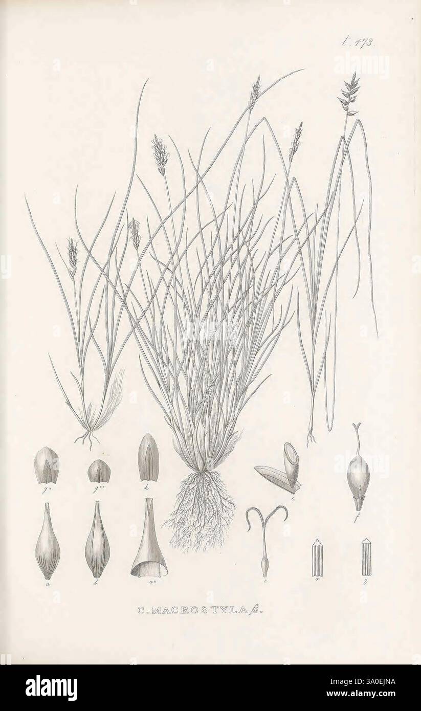 Detailed representation of various elements hi-res stock photography ...